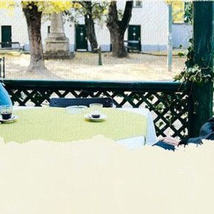 Final Report - Rotten Tomatoes