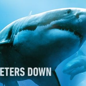 47 Meters Down - Rotten Tomatoes