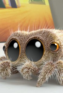 Lucas the Spider: Season 1, Episode 23 | Rotten Tomatoes