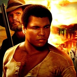 Freedom Road - Rotten Tomatoes