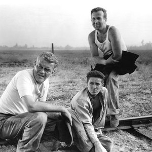 Jay C. Flippen - Rotten Tomatoes