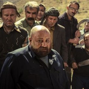 Zalava - Rotten Tomatoes