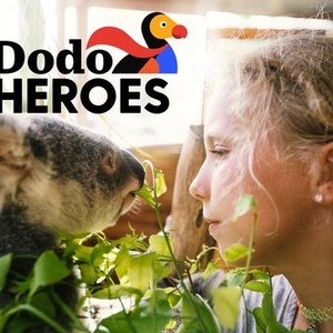 Dodo Heroes - Rotten Tomatoes