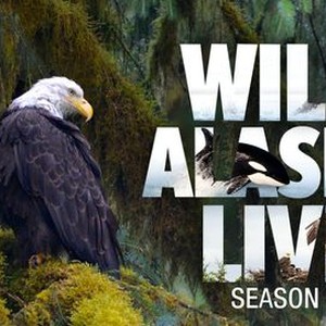 Wild Alaska Live - Rotten Tomatoes