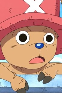 One Piece: Season 5, Episode 1 - Rotten Tomatoes