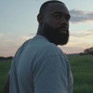 The Astral Woods - Rotten Tomatoes