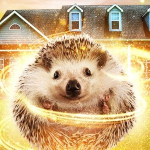 Andy the Talking Hedgehog - Rotten Tomatoes
