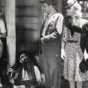 Scatterbrain - Rotten Tomatoes