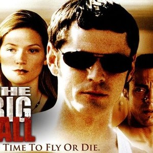 The Big Fall - Rotten Tomatoes