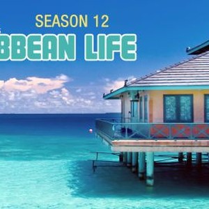 Caribbean Life - Rotten Tomatoes