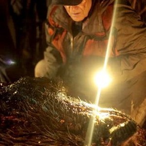 Prey - Rotten Tomatoes