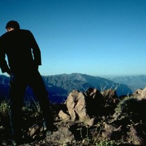 Gerry - Rotten Tomatoes