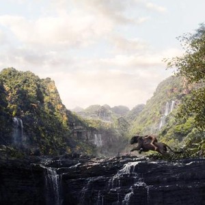 Rohan Chand - Rotten Tomatoes