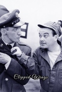 Clipped Wings | Rotten Tomatoes