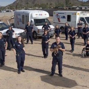 Animal Cops: Phoenix - Rotten Tomatoes