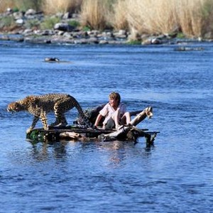 Alex Michaeletos - Rotten Tomatoes