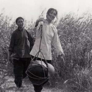 Red Sorghum - Rotten Tomatoes