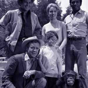 Daktari - Rotten Tomatoes