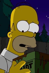 The Simpsons: Season 20, Episode 10 | Rotten Tomatoes