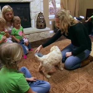 Quints by Surprise: Season 2, Episode 5 - Rotten Tomatoes