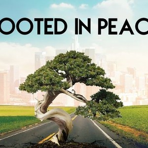 Rooted in Peace - Rotten Tomatoes