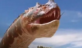 Big Bad CGI Monsters - Trailers & Videos | Rotten Tomatoes