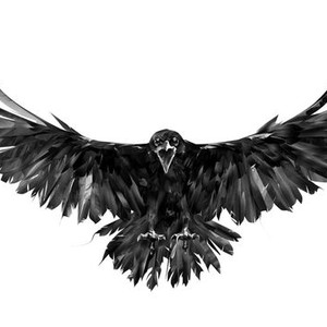 Birdemic - Rotten Tomatoes