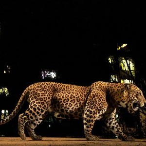 Mission Critical - Rotten Tomatoes