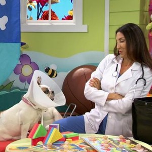 Mutt & Stuff: Season 1, Episode 20 - Rotten Tomatoes