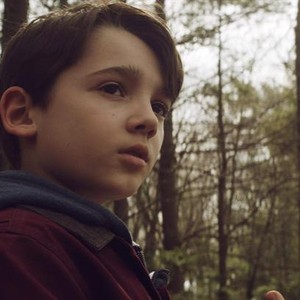 Colin Critchley - Rotten Tomatoes