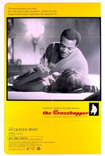 The Grasshopper | Rotten Tomatoes