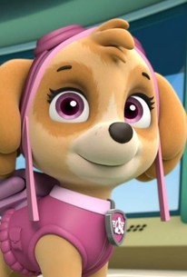 PAW Patrol: Season 1, Episode 15 - Rotten Tomatoes