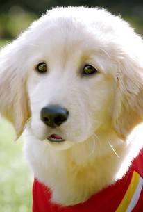 Pup Academy: Season 1, Episode 18 | Rotten Tomatoes