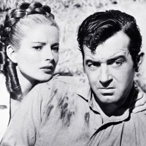 The Vanquished - Rotten Tomatoes