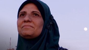 Fadia's Tree - Rotten Tomatoes