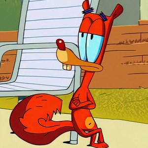 Squirrel Boy: Season 1, Episode 6 - Rotten Tomatoes