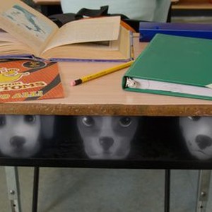 Phantom Pups - Rotten Tomatoes