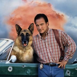 K-911 - Rotten Tomatoes