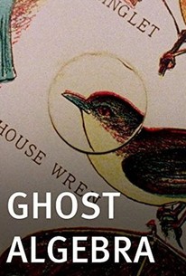 Ghost Algebra | Rotten Tomatoes