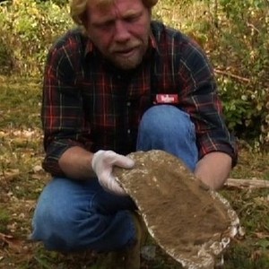 The Bigfoot Diaries - Rotten Tomatoes