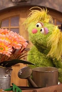 Sesame Street: Season 47, Episode 26 | Rotten Tomatoes