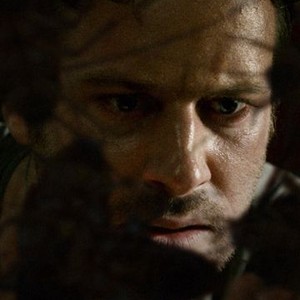 Wounds - Rotten Tomatoes