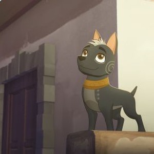 Xico's Journey - Rotten Tomatoes