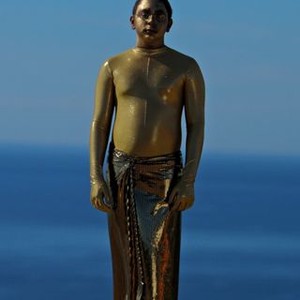 Finding Joe - Rotten Tomatoes