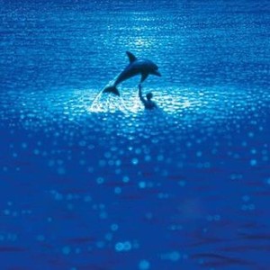 The Big Blue - Rotten Tomatoes