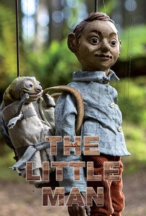 The Little Man | Rotten Tomatoes