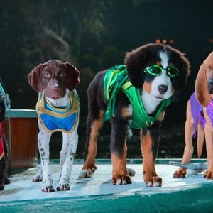 Super PupZ - Rotten Tomatoes