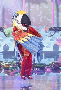 The Masked Singer: Season 9, Episode 13 | Rotten Tomatoes