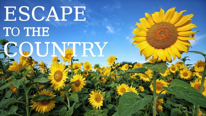 Escape to the Country: Season 3, Episode 2 | Rotten Tomatoes