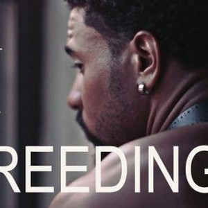 The Breeding - Rotten Tomatoes